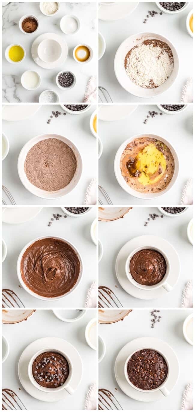 Chocolate Mug Cake Recipe - Easy Dessert Recipes