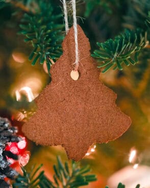Cinnamon Ornaments Recipe (2 Ingredients!) - Easy Dessert Recipes
