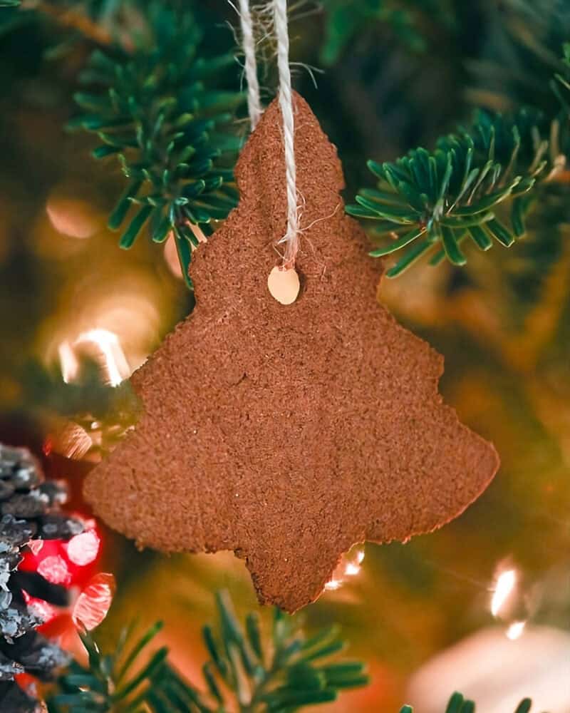 Cinnamon Ornaments Recipe (2 Ingredients!) - Easy Dessert Recipes