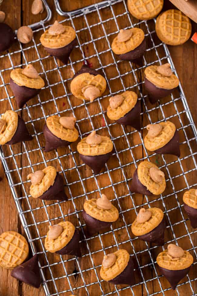 Acorn Cookies Recipe - Easy Dessert Recipes