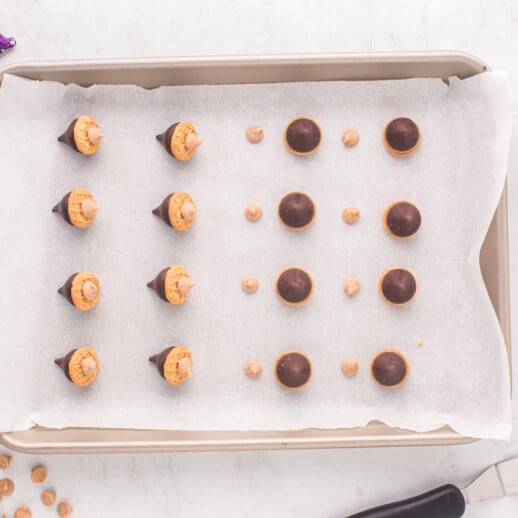 Acorn Cookies Recipe - Easy Dessert Recipes