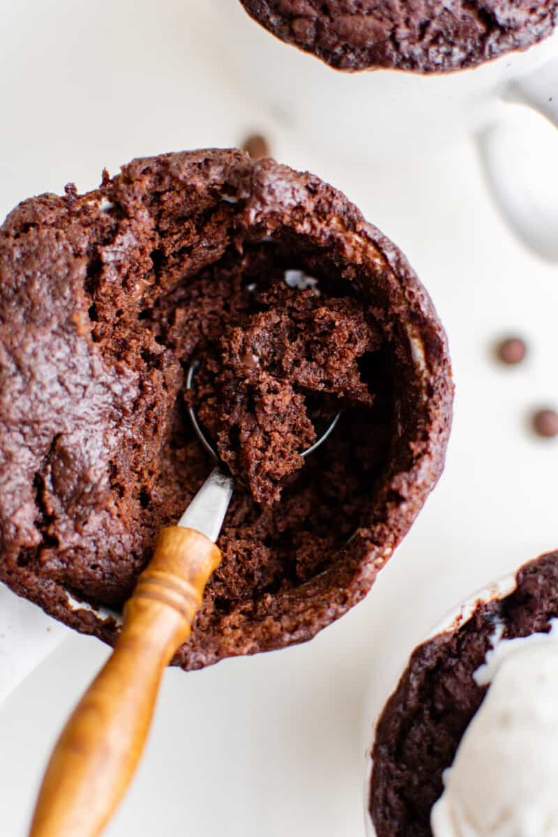 Microwave Brownie in a Mug Recipe - Easy Dessert Recipes