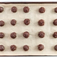 Homemade Homemade Thin Mints Recipe - Easy Dessert Recipes